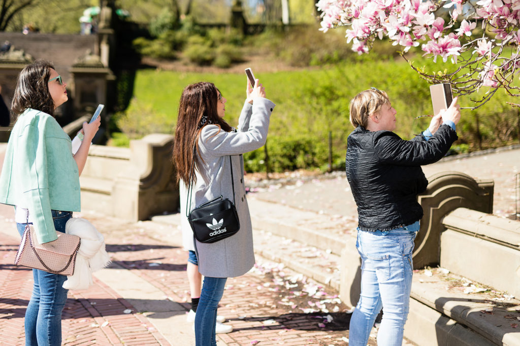 Spring springs every day in Central Park | Gotham Family Photos